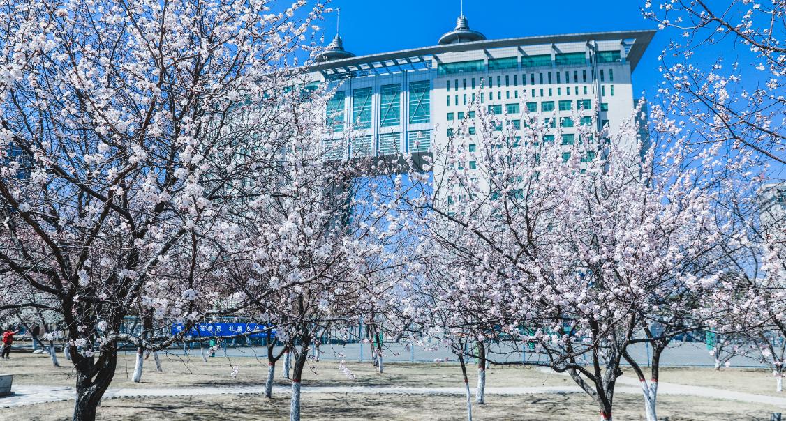 长春理工大学怎么样是几本？王牌专业有哪些？